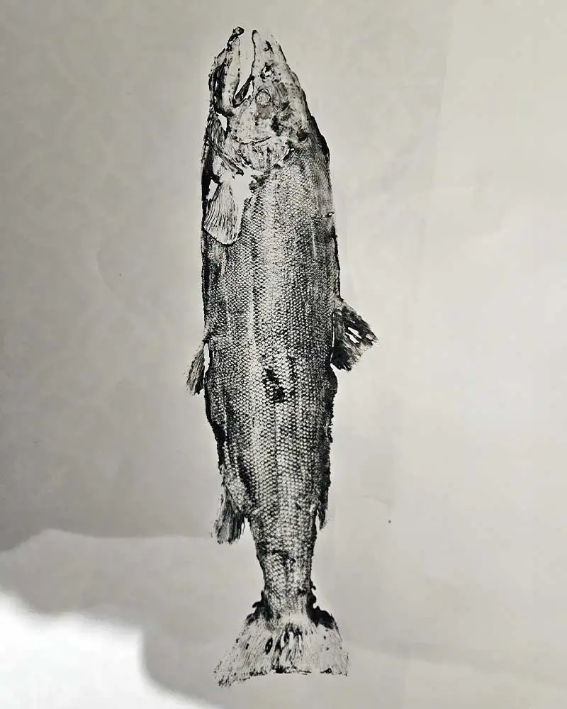 Fly Fishing in Iceland: Professional Fishing Guides, Get Ready for the ...